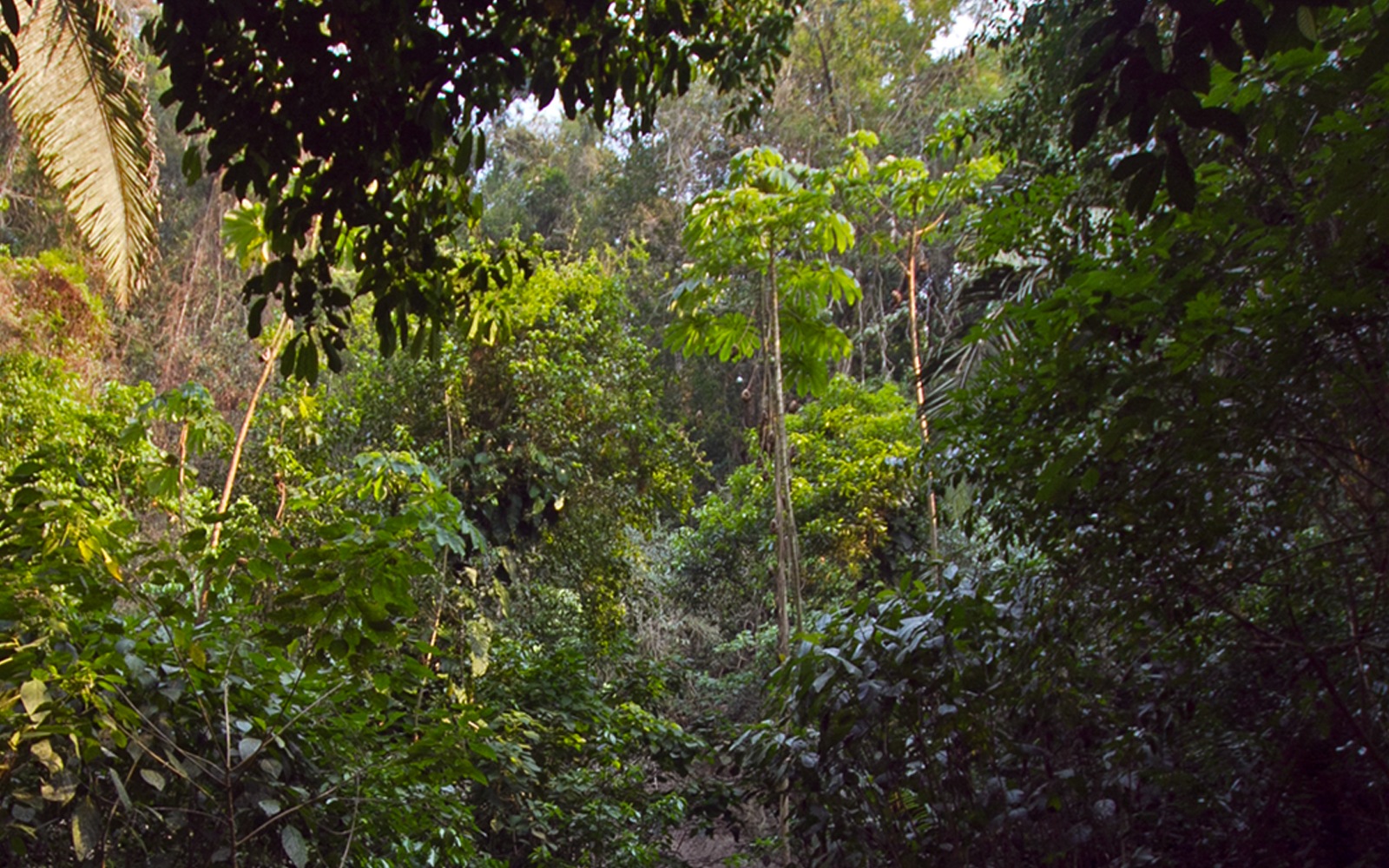 13 Things to Know Before Going to Belize