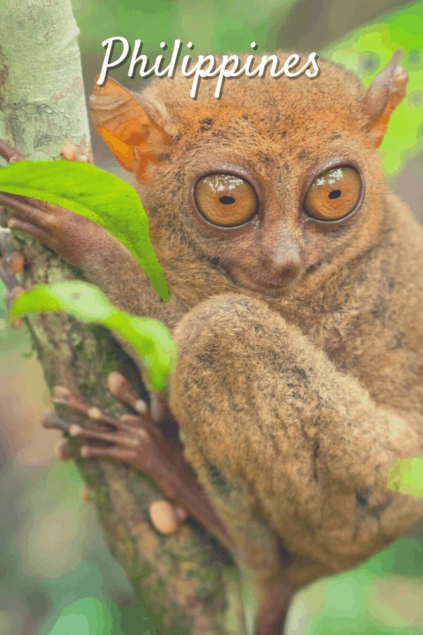 best-things-to-see-in=-the-philippines-9 • As We Saw It
