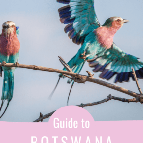 Botswana Safari: Guide to Choosing Your Ideal Itinerary