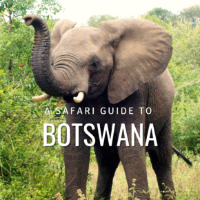 Botswana Safari: Guide to Choosing Your Ideal Itinerary