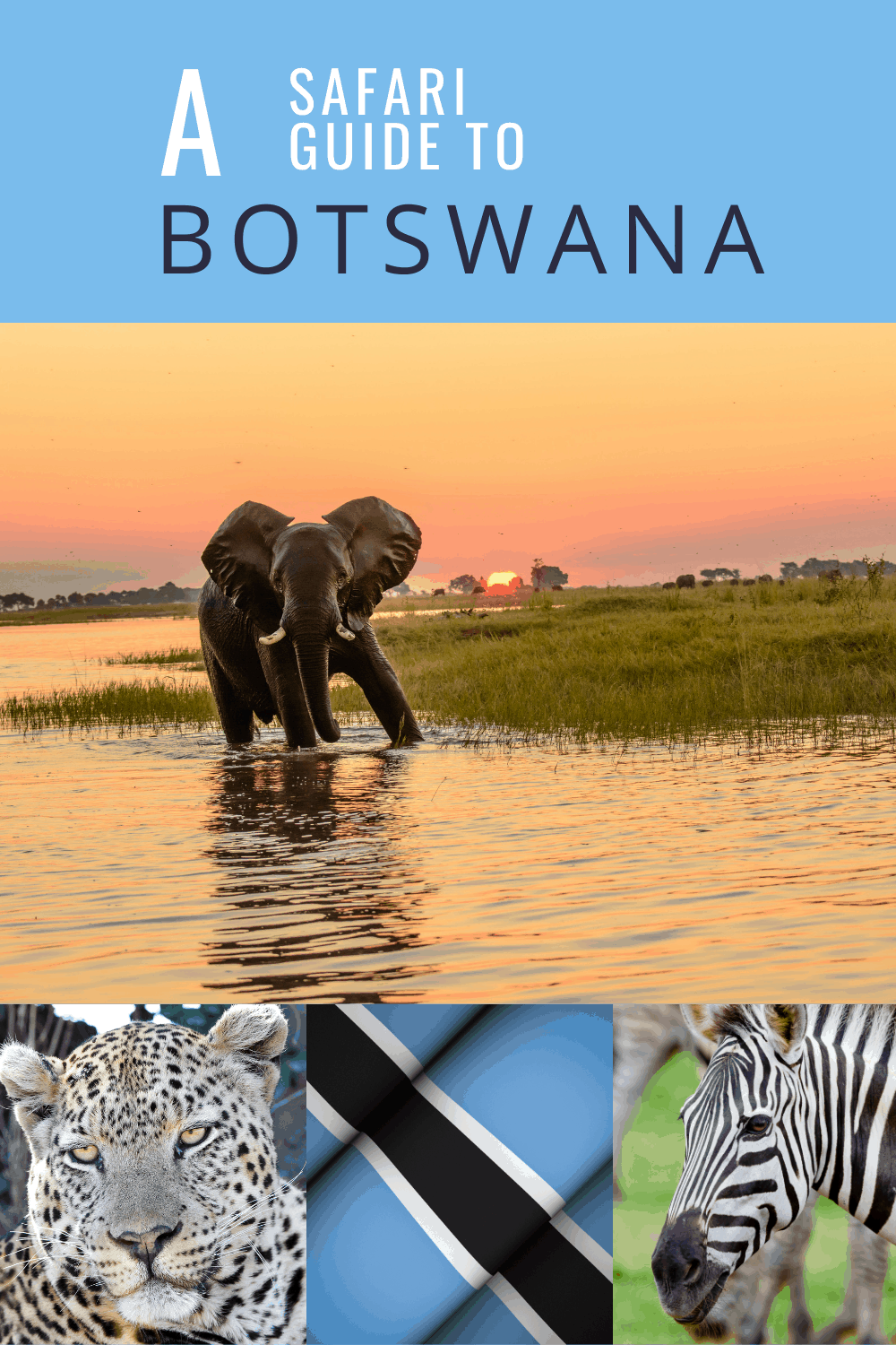 Botswana Safari: Find Your Ideal Itinerary