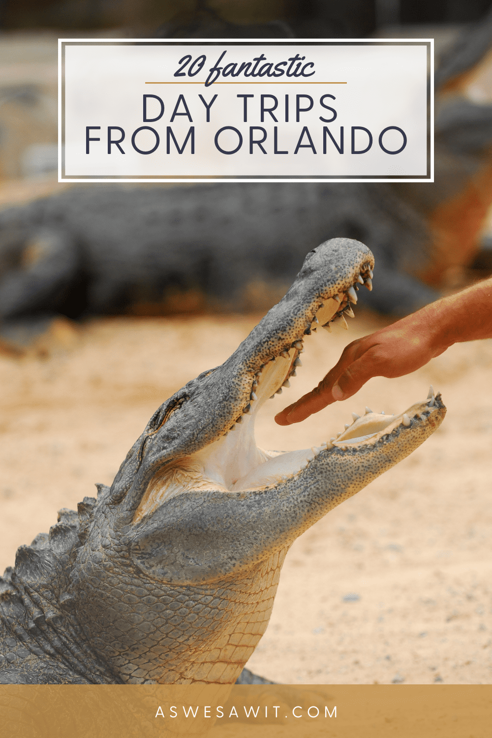 20 Fun Day Trips from Orlando, Florida in 2024