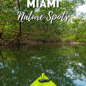 Miami for Nature Lovers: 7 Top Spots to Visit