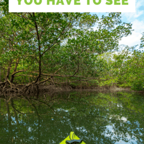 Miami for Nature Lovers: 7 Top Spots to Visit