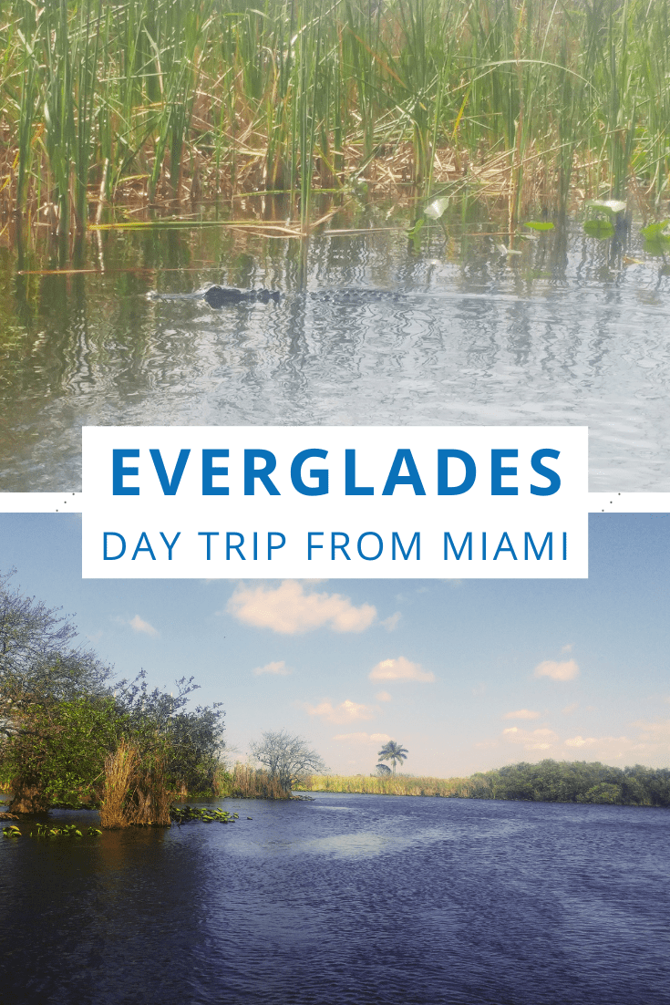 Is a Florida Everglades Day Trip from Miami Worth It?
