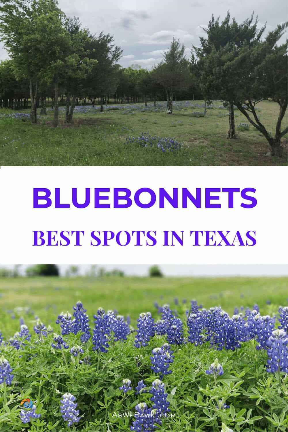 10 Best Places to See Bluebonnets in Texas