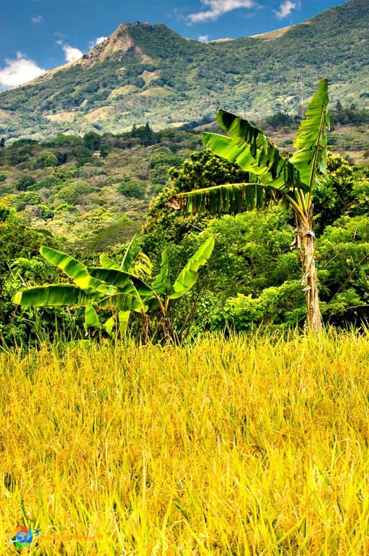 Santa Fe Panama Landscape • As We Saw It
